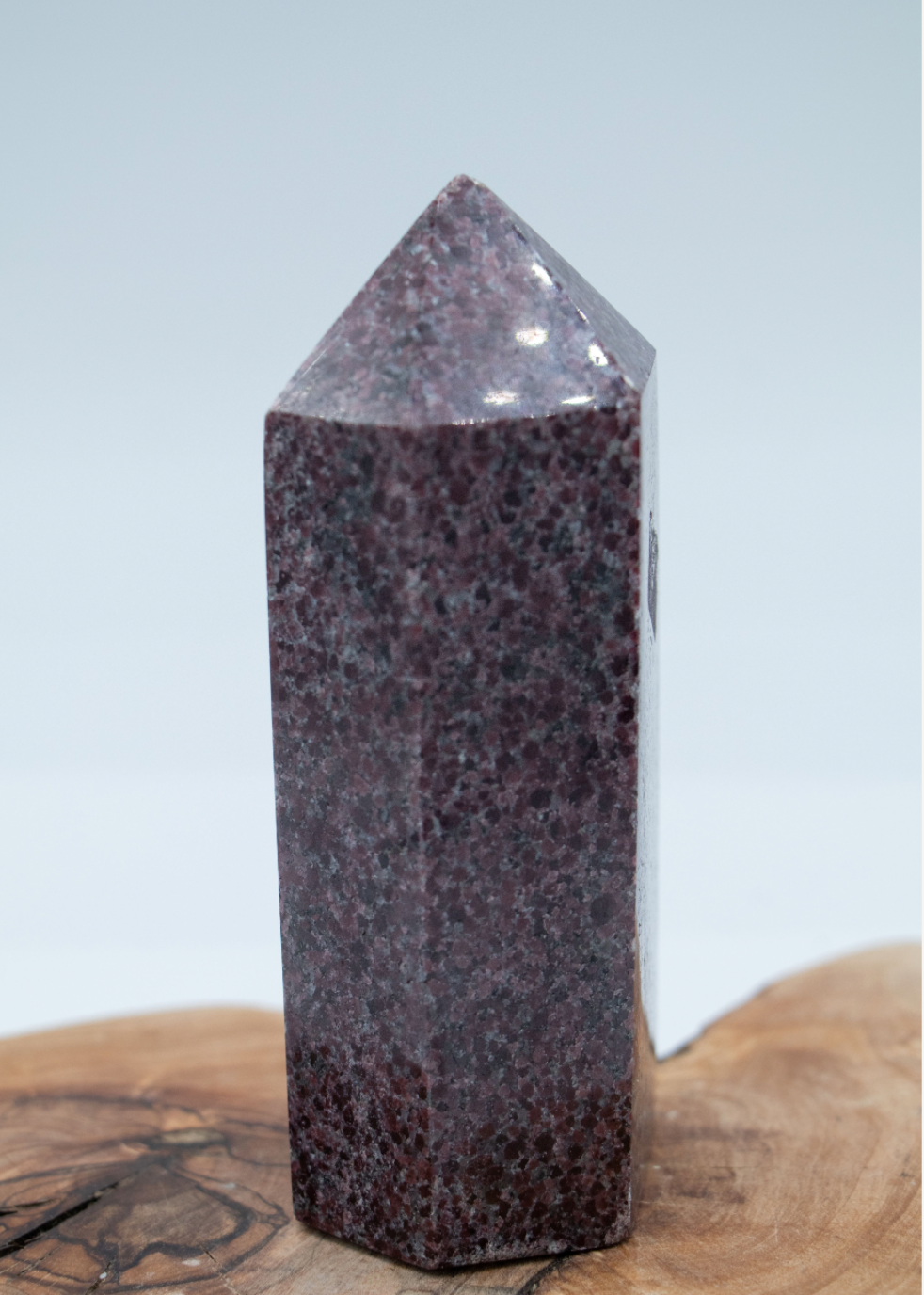 Garnet Tower - Luxe Collection – desert flora